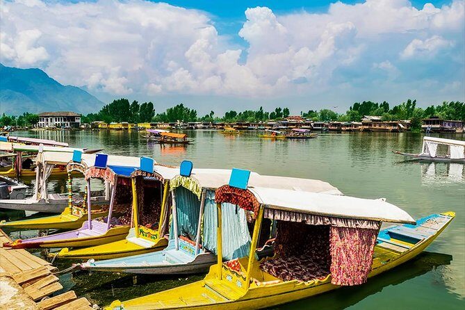Full day tour of Srinagar with Entrance Fee, Guide, Shikara ride & Lunch - Additional Highlights: Art and Craft