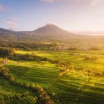 Full Day Tour Tanah Lot, Jatiluwih, Danau Beratan - Taman Ayun Temple: A Beautiful Introduction