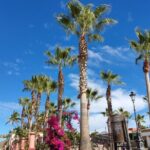 Full Day Tour to Balandra Beach, Todos Santos and La Paz - Who Will Enjoy This Tour?