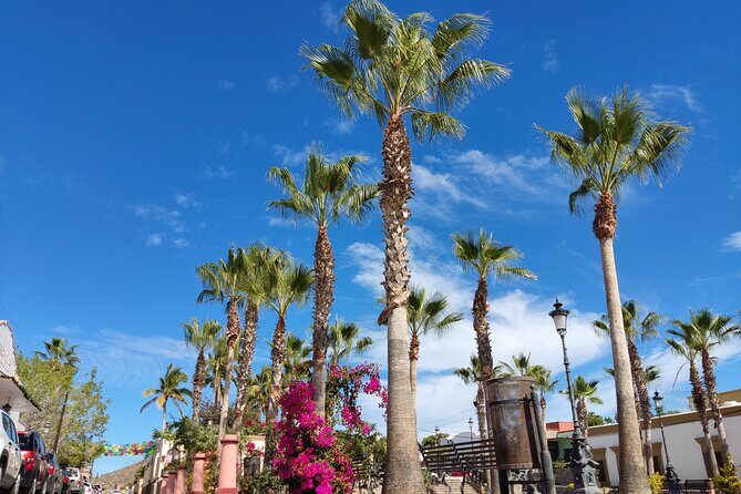 Full Day Tour to Balandra Beach, Todos Santos and La Paz - Who Will Enjoy This Tour?