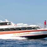 Full-Day Tour To Nusa Penida Bali - Highlights That Make This Tour Special