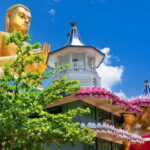 Full Day Tour to Sigiriya and Dambulla from Kandy - What You’ll Actually Get for Your Money