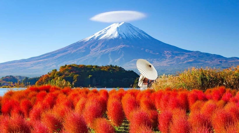 Full-Day Tour to the Picturesque Spots of Mount Fuji - Who Should Consider This Tour?
