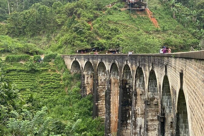 Full Day Tour to Udawalawe Safari and Ella - The Itinerary: Step-by-Step