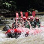 Full-Day Tour: White Water Rafting and Highlight of Ubud with All-inclusive - Why This Tour is a Great Value