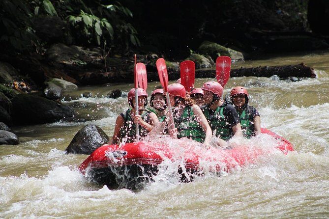 Full-Day Tour: White Water Rafting and Highlight of Ubud with All-inclusive - Why This Tour is a Great Value