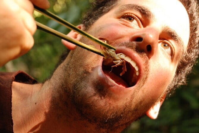 Full Day Trekking & bamboo cooking Tour in Chiang Rai - What Youll Experience and Why It Matters