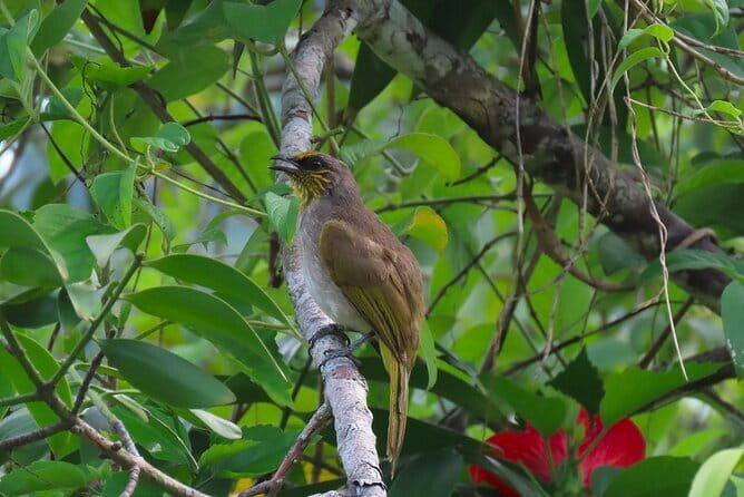 Full-Day Trekking Explore Cat Ba National Park, Viet Hai Village - Who Will Enjoy This Tour?