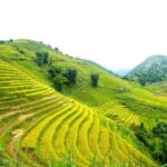 Full Day Trekking Lao Chai-Ta Van and Cat Cat Village - The Value of This Tour