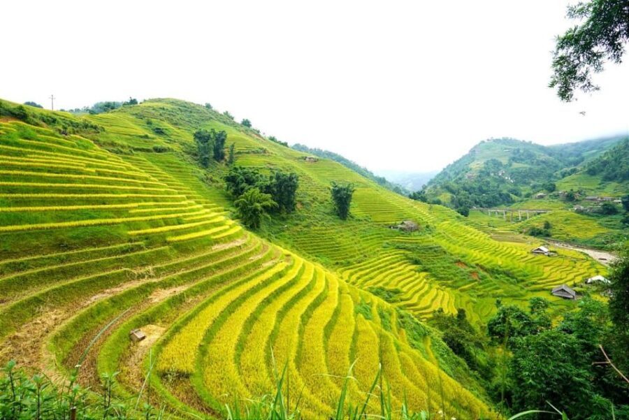 Full Day Trekking Lao Chai-Ta Van and Cat Cat Village - The Value of This Tour