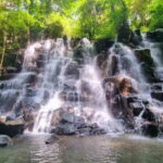 Full Day Ubud Tour Waterfall Monkey Forest Rice Terrace - Who Will Love This Tour?