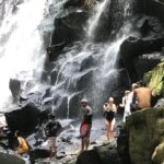 Full Day Volcano, Waterfalls, Rice terraces and Temple Tours - Who Will Love This Tour?