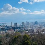 Full Day Walking Tour Around Kobe Mountains Sea and Sake - Cultural and Historic Insights