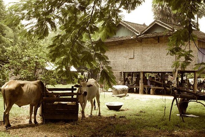 Full-day: Wat Banan. Old bamboo train. Bat Cave. Killing cave - Who Will Love This Tour?