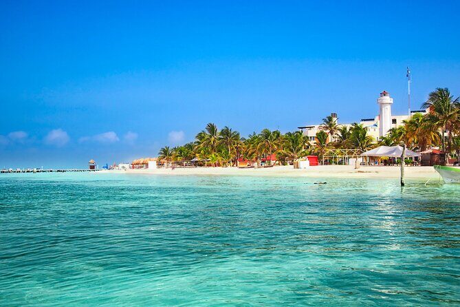 Full-Day Whale Shark Snorkeling Adventure with Beach Lunch - Beachside Lunch at Playa Norte