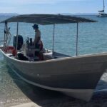 Full Day Wildlife Expedition in the Sea of Cortez - Snorkeling and Marine Observation