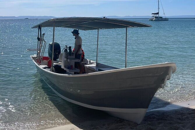 Full Day Wildlife Expedition in the Sea of Cortez - Snorkeling and Marine Observation