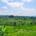 Full Day Wonders of Bali Private Tour with Pickup and Lunch - Logistics: What to Expect from the Tour
