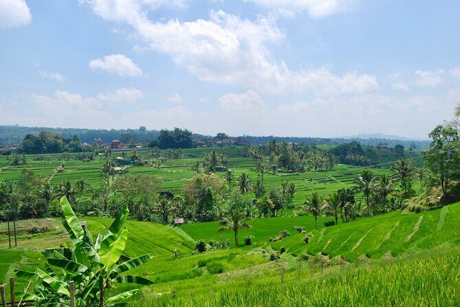 Full Day Wonders of Bali Private Tour with Pickup and Lunch - Logistics: What to Expect from the Tour