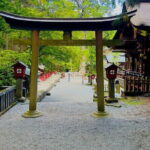 Full Guided Mt. Fuji & Shiba-Sakura Festival One Day Pvt.Tour - Making the Most of Your Tour Experience