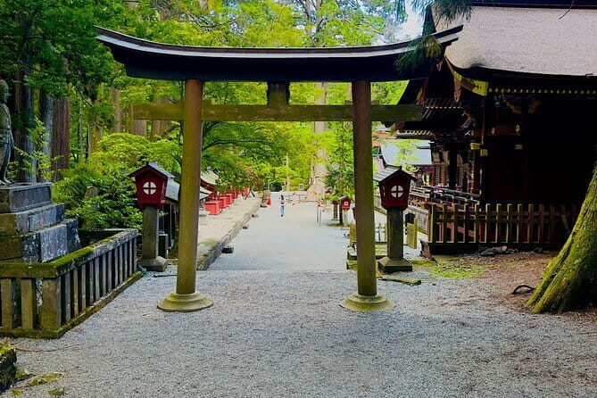 Full Guided Mt. Fuji & Shiba-Sakura Festival One Day Pvt.Tour - Making the Most of Your Tour Experience