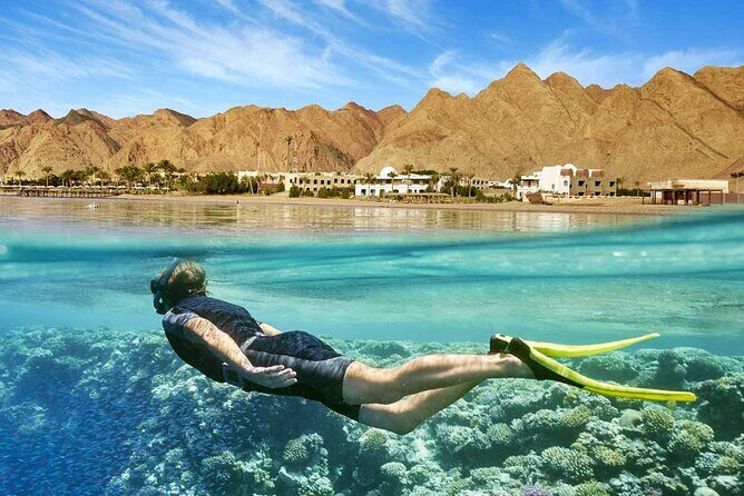Full Relaxing Day To The Red Sea From Cairo Or Giza Hotel - What Travelers Say: Honest Reviews and Insights