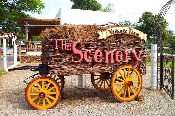 Fullday PrivateTour Refreshing,Healing,Amazing scape to Ratchaburi from Bangkok - The Sum Up