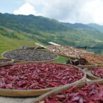 Fully-Guided Private Day Tour of Longji Terraces From Guilin - The Details: Transport, Timing, and Value