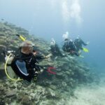 Fun Dives For Certified Divers - Detailed Breakdown of the Itinerary
