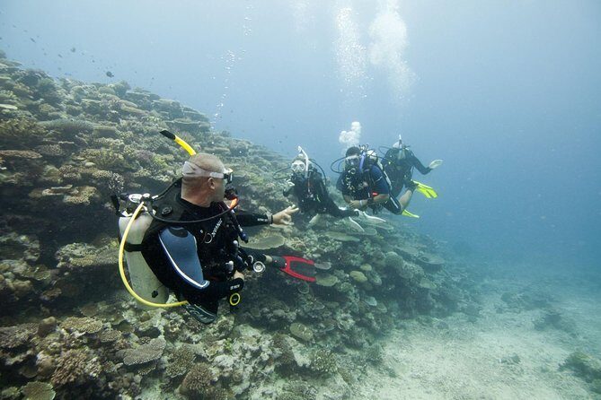 Fun Dives For Certified Divers - Detailed Breakdown of the Itinerary