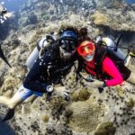 Fun Diving Packages (Certified Divers) - Key Points