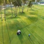 Fun golf lessons for beginners of all ages - What to Expect During Your Golf Lesson