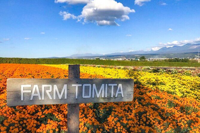 Furano & Biei 6 hour Tour: English Speaking Driver only, No Guide - What the Tour Means in Practical Terms