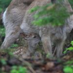 Furepe Waterfall Nature Walk - The Itinerary in Detail