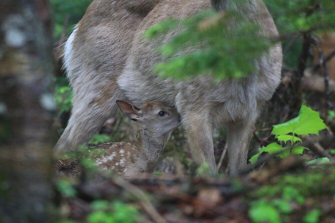 Furepe Waterfall Nature Walk - The Itinerary in Detail