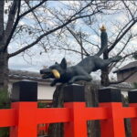 Fushimi Inari and Nara Private and Guided Tour in Spanish - What This Tour Means for You