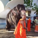 Galle Day Tour - Practical Details