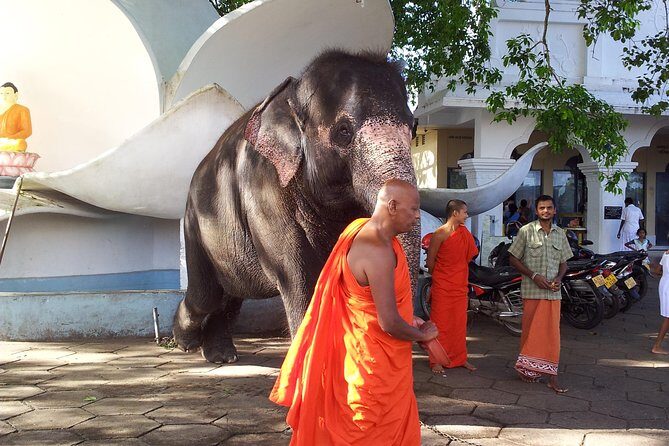 Galle Day Tour - Practical Details