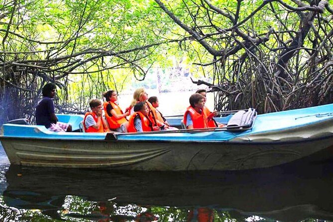 Galle Day Tour from Colombo or Negombo by Private Car , Van with Driver - Authentic Experiences and Honest Insights