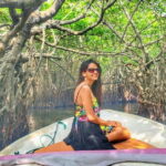Galle Day Trip With Mangrove Safari From Negombo - Transportation and Logistics