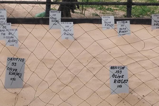 Galle Sightseein Rickshaw Tour - What We Love About the Tour