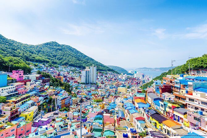 Gamcheon Cultural Village & Skywalk & Markets - What’s Included and What You Should Know