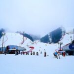 Gangchon Elysian Ski Day Trip from Seoul - What Makes This Tour Stand Out?