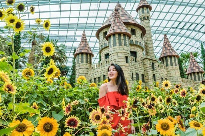 Garden by the Bay with two domes (Shared transfer) - Who Will Benefit Most from This Tour?