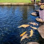 Gate of Heaven Tour With Guide : All-Inclusive Best Experience - Exploring Tirta Gangga Water Garden