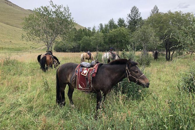 Genghis Khaan Equestrian statue & Aryapala meditation center ( A half day tour) - Practical Details and Value