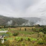 Gentle Walking Tour to Explore Nature in Pokhara - The Value of the Experience