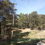 George Everest Nature Walk | Mussoorie - Key Points