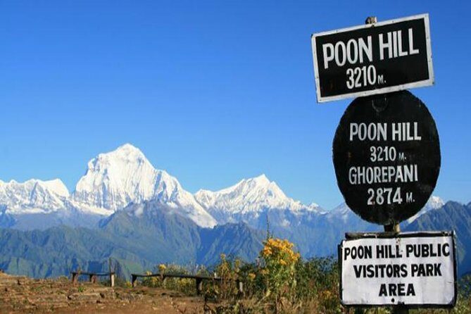 Ghorepani Poonhill Trek - The Experience: What You Can Expect