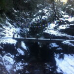 Ghorepani Poonhill Trek - What Makes the Ghorepani Poonhill Trek Special?